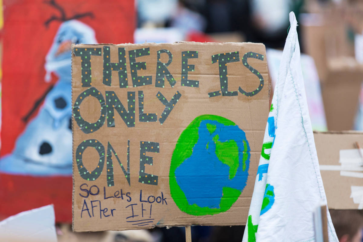 5 Ways to Participate in Climate Week In-Person or At Home | Organic India