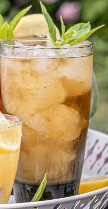 Elevated ROC™ Iced Tea & Cold Brew | Organic India