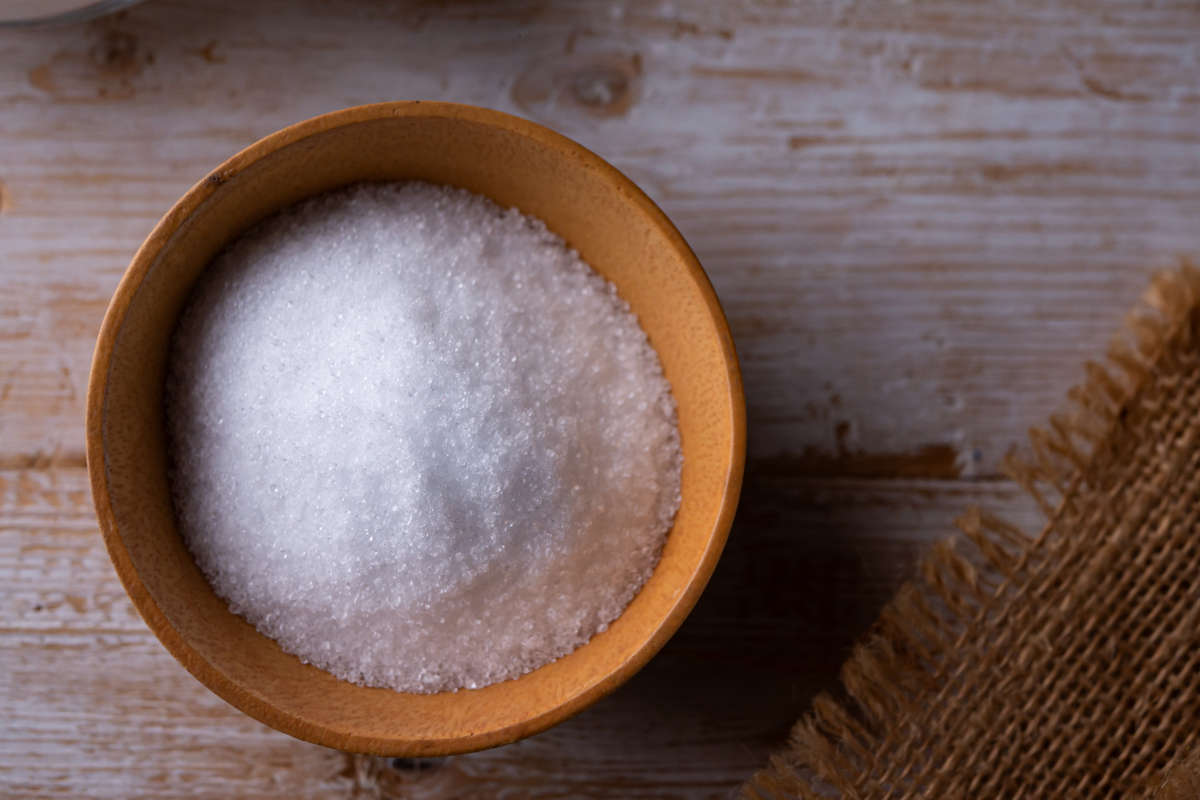 Types of Stevia: Which is Best? | Organic India